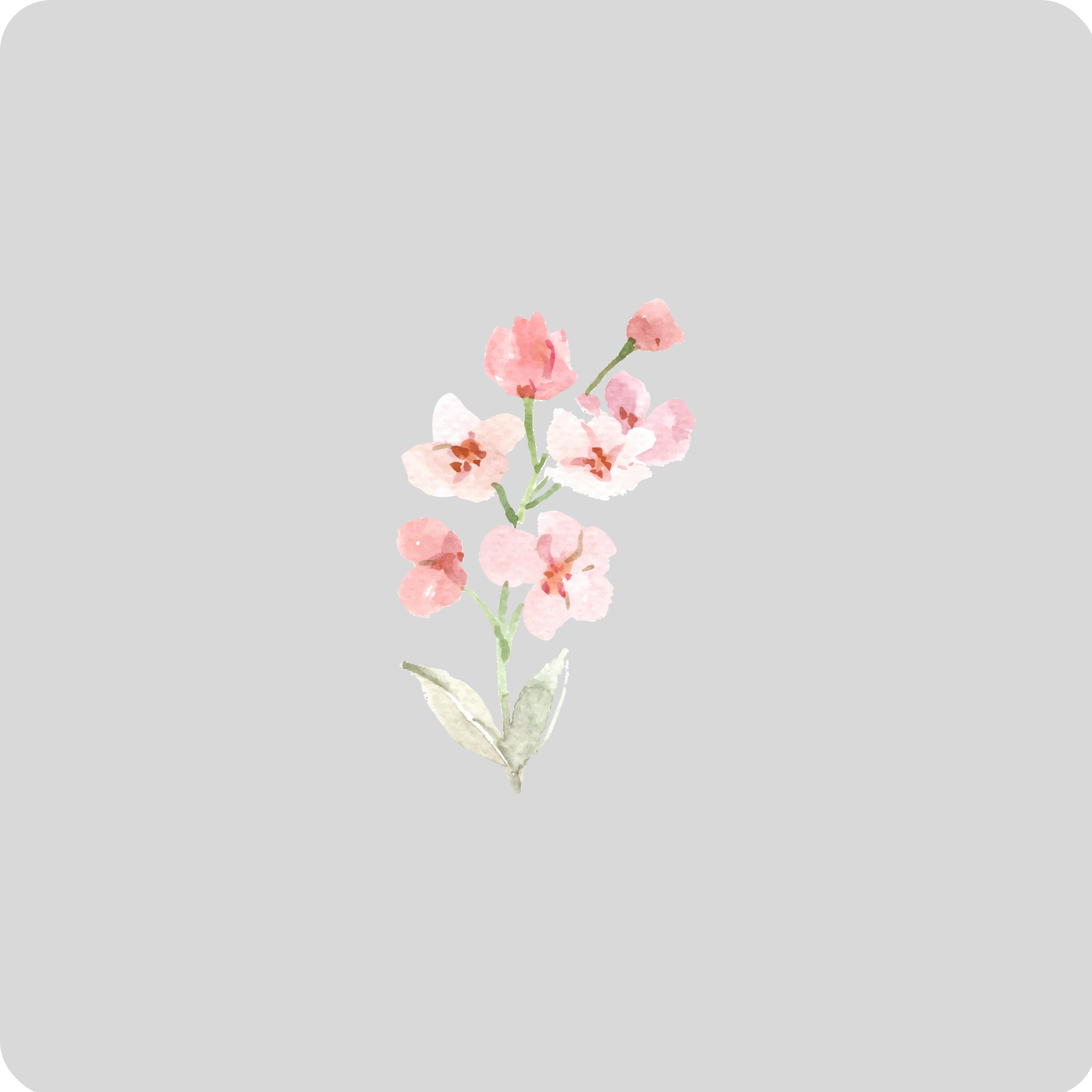 Collecties – moloo.nl