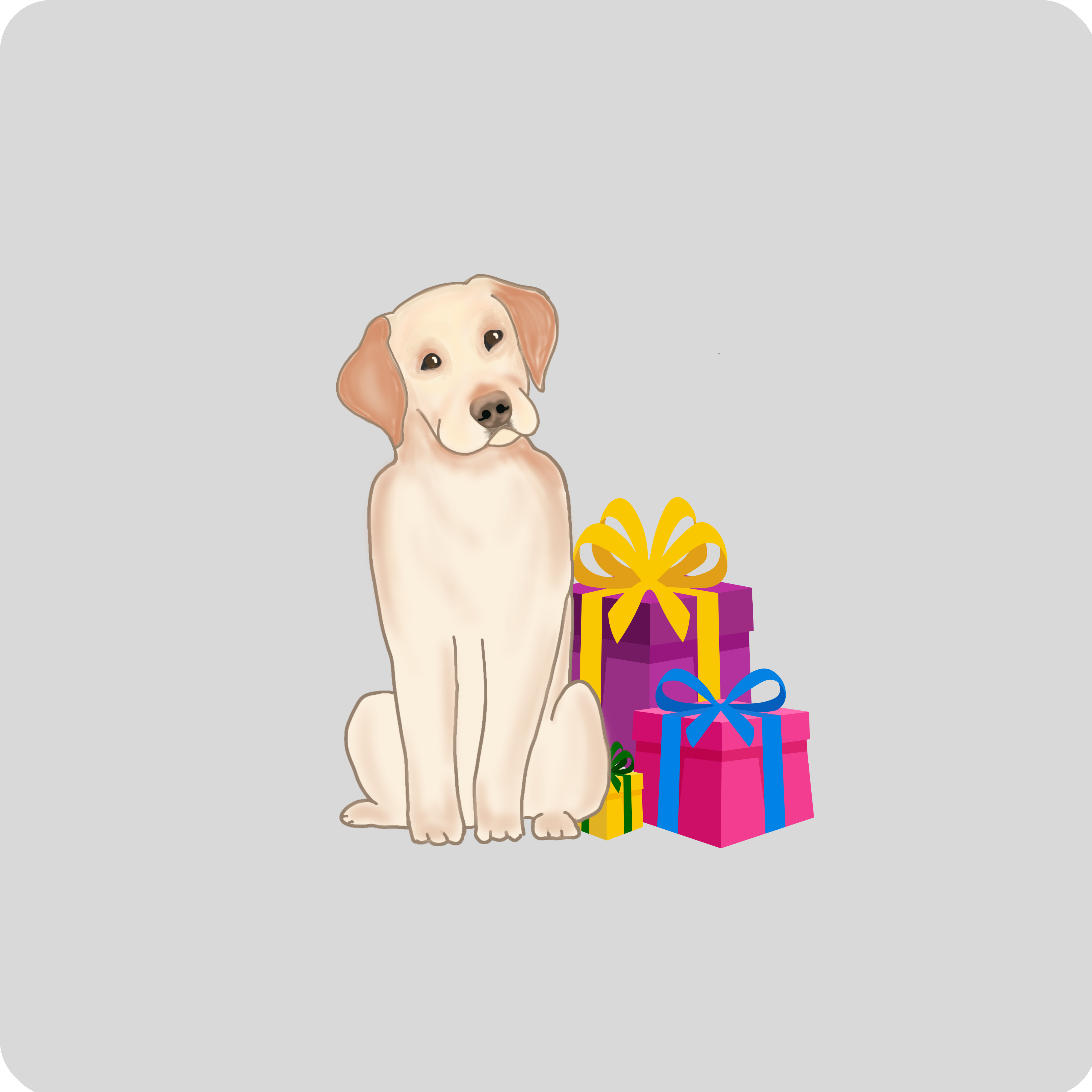 Cadeau Hond – moloo.nl